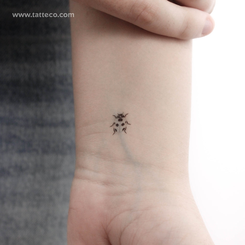 Ladybird zodiac sign 60 photos - Youhoroscope.com