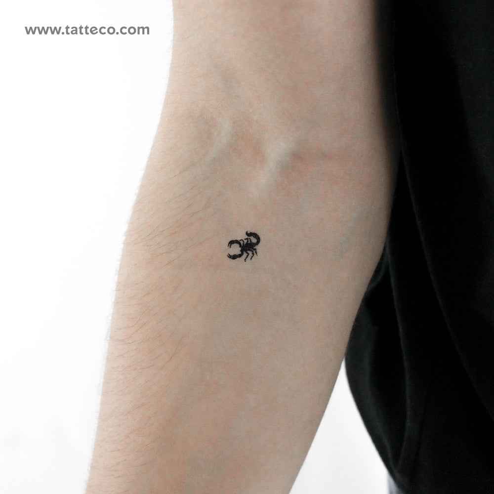 Small scorpio zodiac tattoos 60 photos - Youhoroscope.com