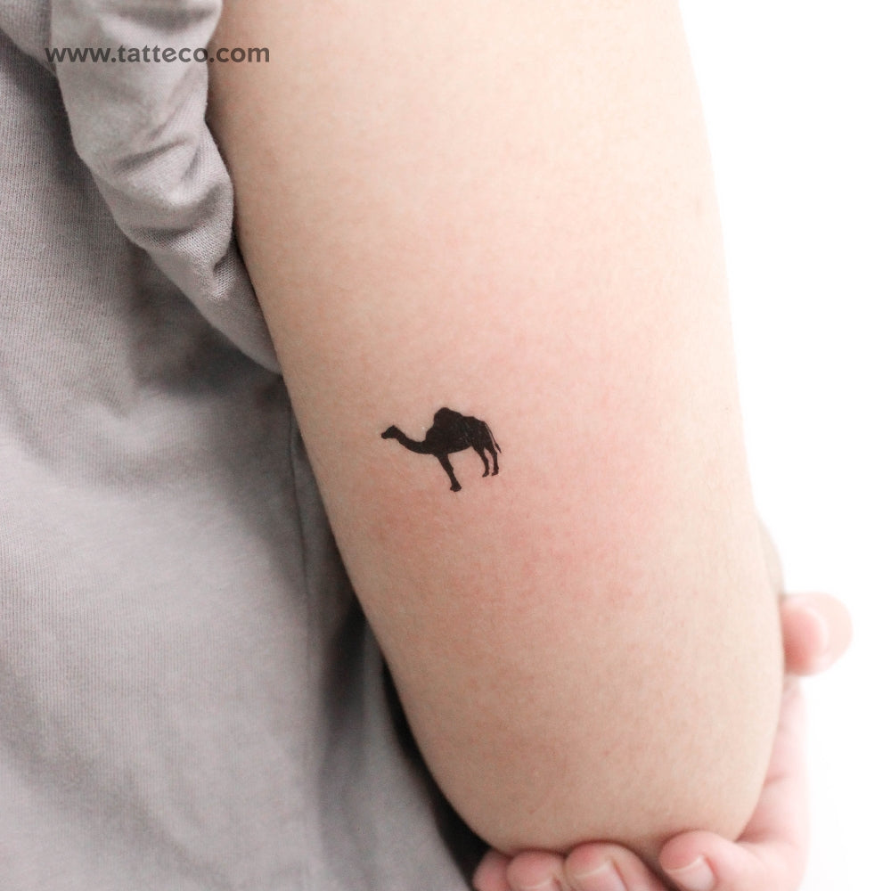 Dromedary Camel Temporary Tattoo - Set of 3 – Tatteco