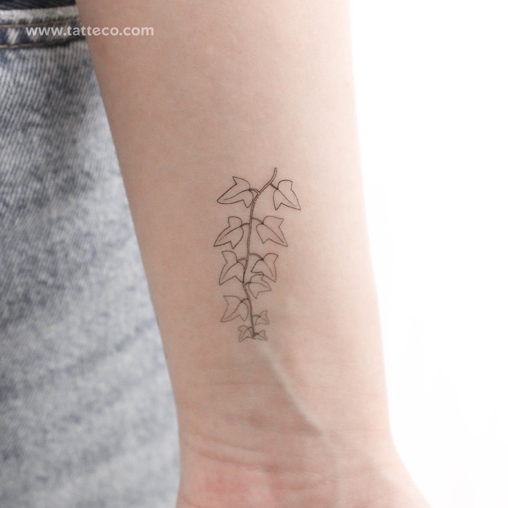 Poison ivy plant tattoo - Bronctattooaus.com