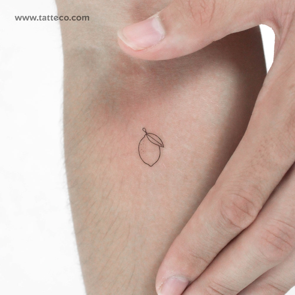 Tiny Single Line Lemon Temporary Tattoo - Set of 3 – Tatteco