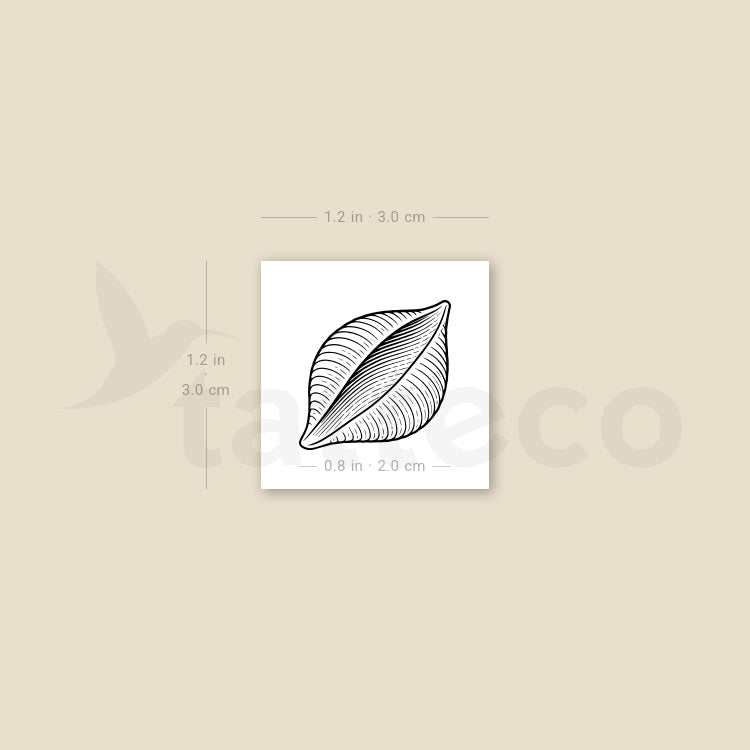 Conchiglie Pasta Temporary Tattoo - Set of 3 – Tatteco