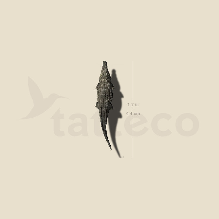 Crocodile And Shadow Temporary Tattoo - Set of 3 – Tatteco