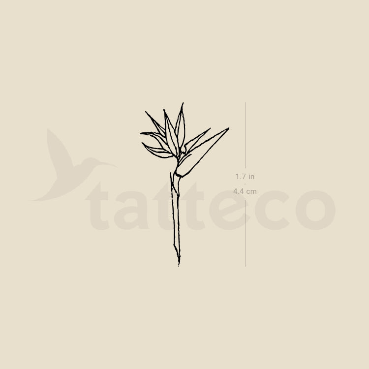 Fine Line Bird Of Paradise Temporary Tattoo - Set of 3 – Tatteco