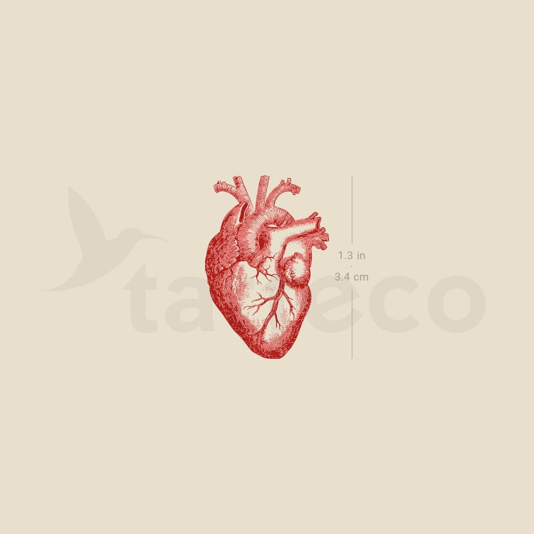 Red Anatomical Heart Temporary Tattoo - Set of 3 – Tatteco