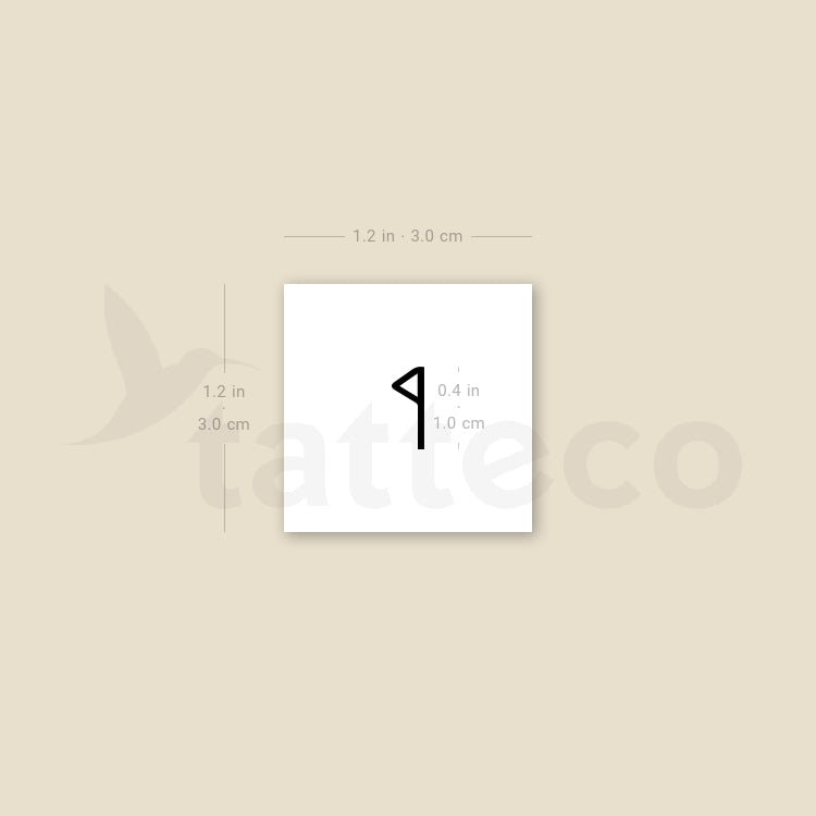 Wynn Rune Temporary Tattoo - Set of 3 – Tatteco