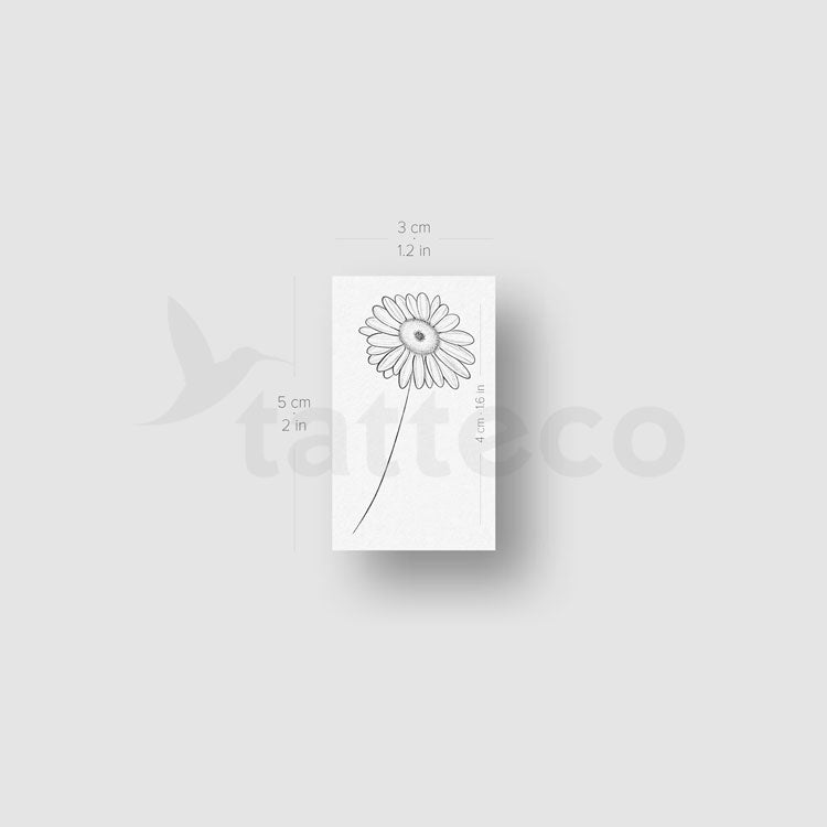 Fine Line Daisy Temporary Tattoo - Set of 3 – Tatteco