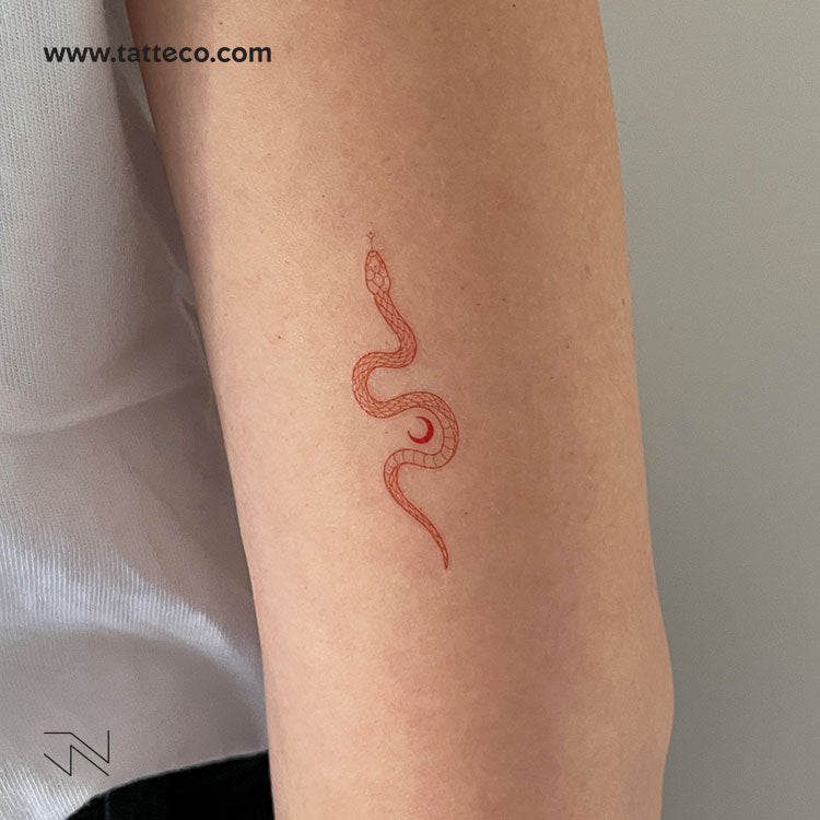 Simple Snake Tattoo Designs